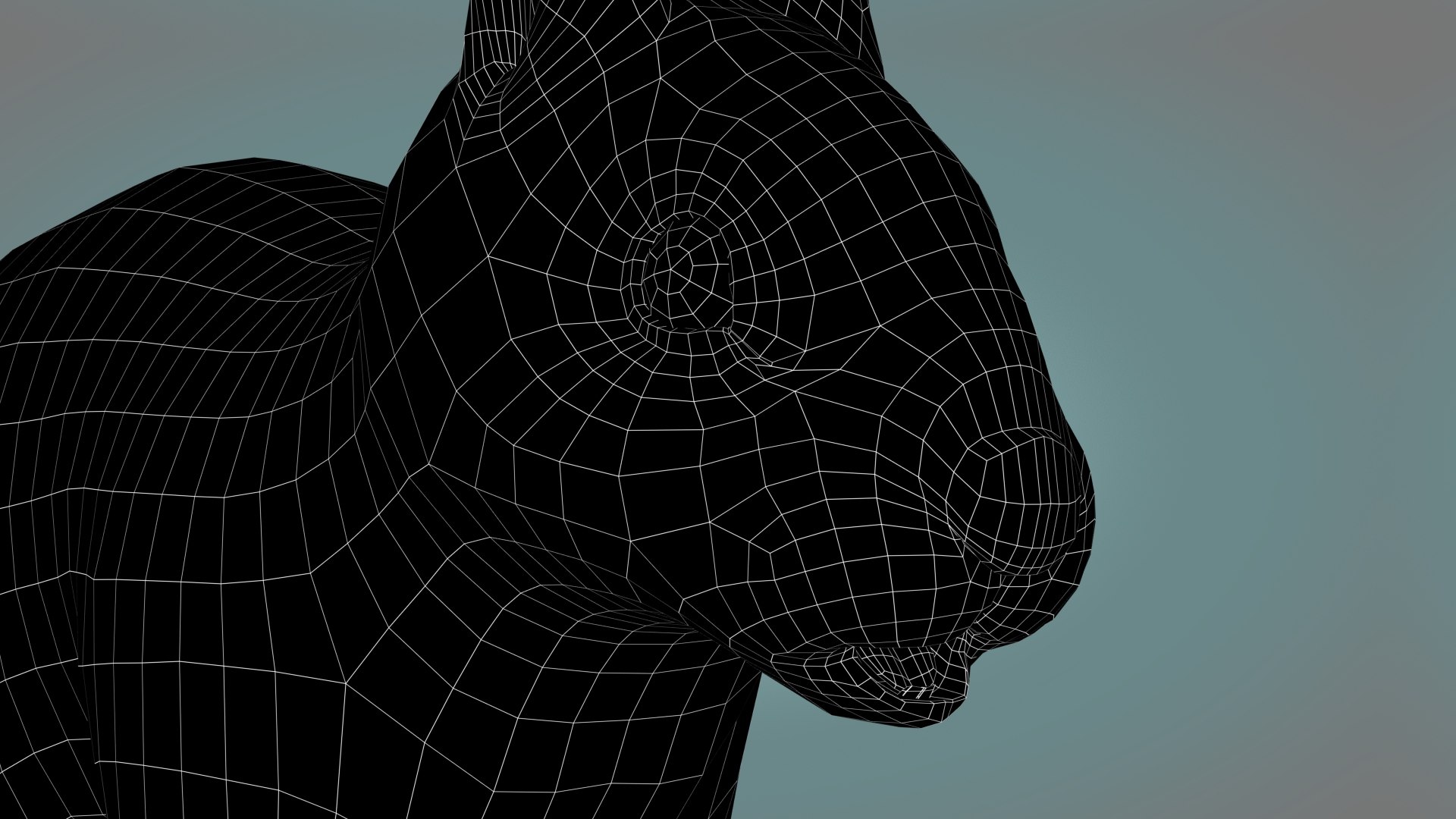 Rabbit Spotted RIG XGEN model - TurboSquid 2163512