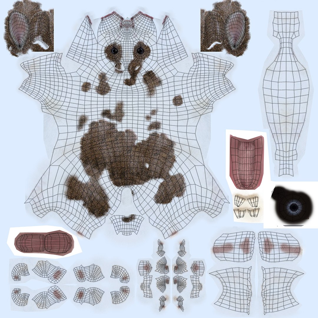Rabbit Spotted RIG XGEN model - TurboSquid 2163512