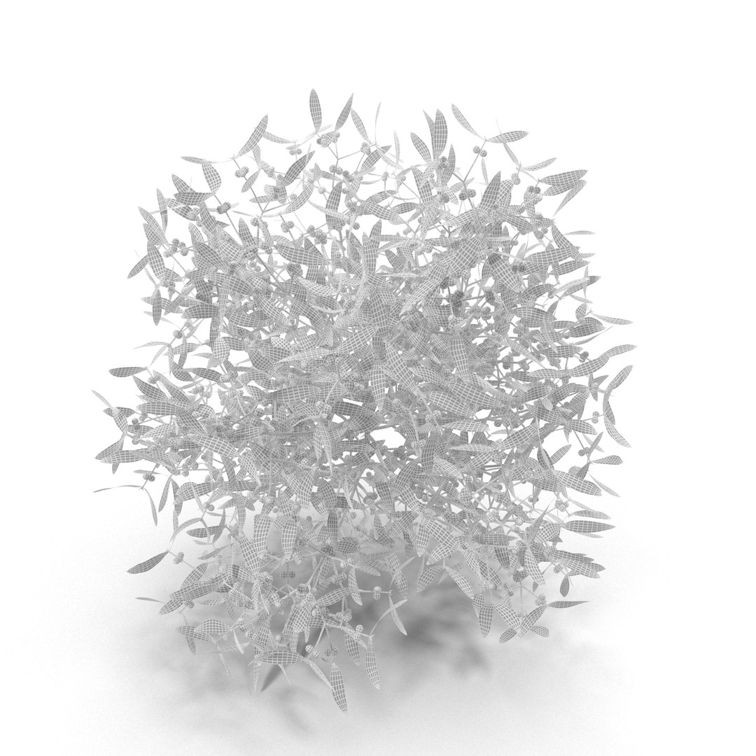 3d Model Mistletoe