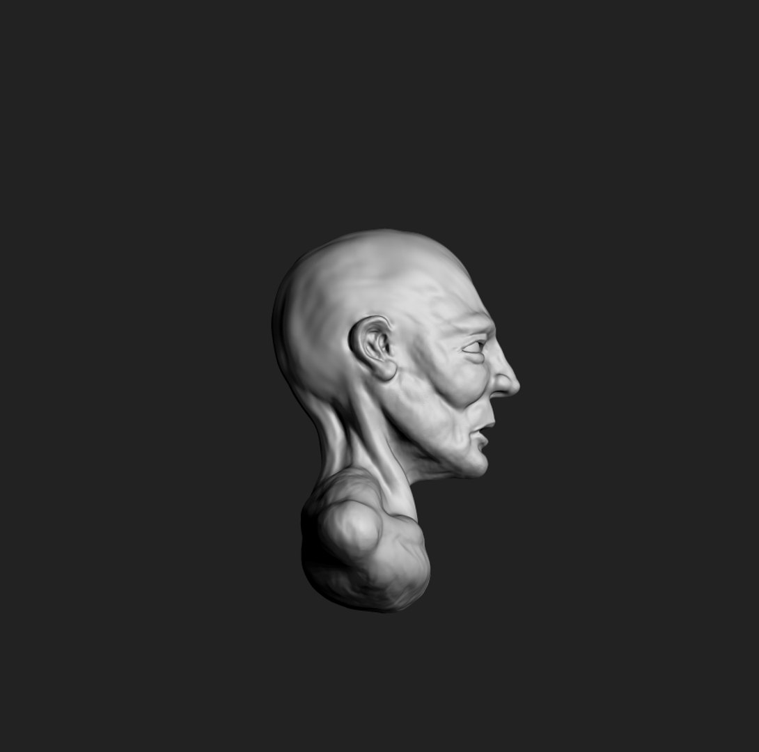 3d Zbrush File