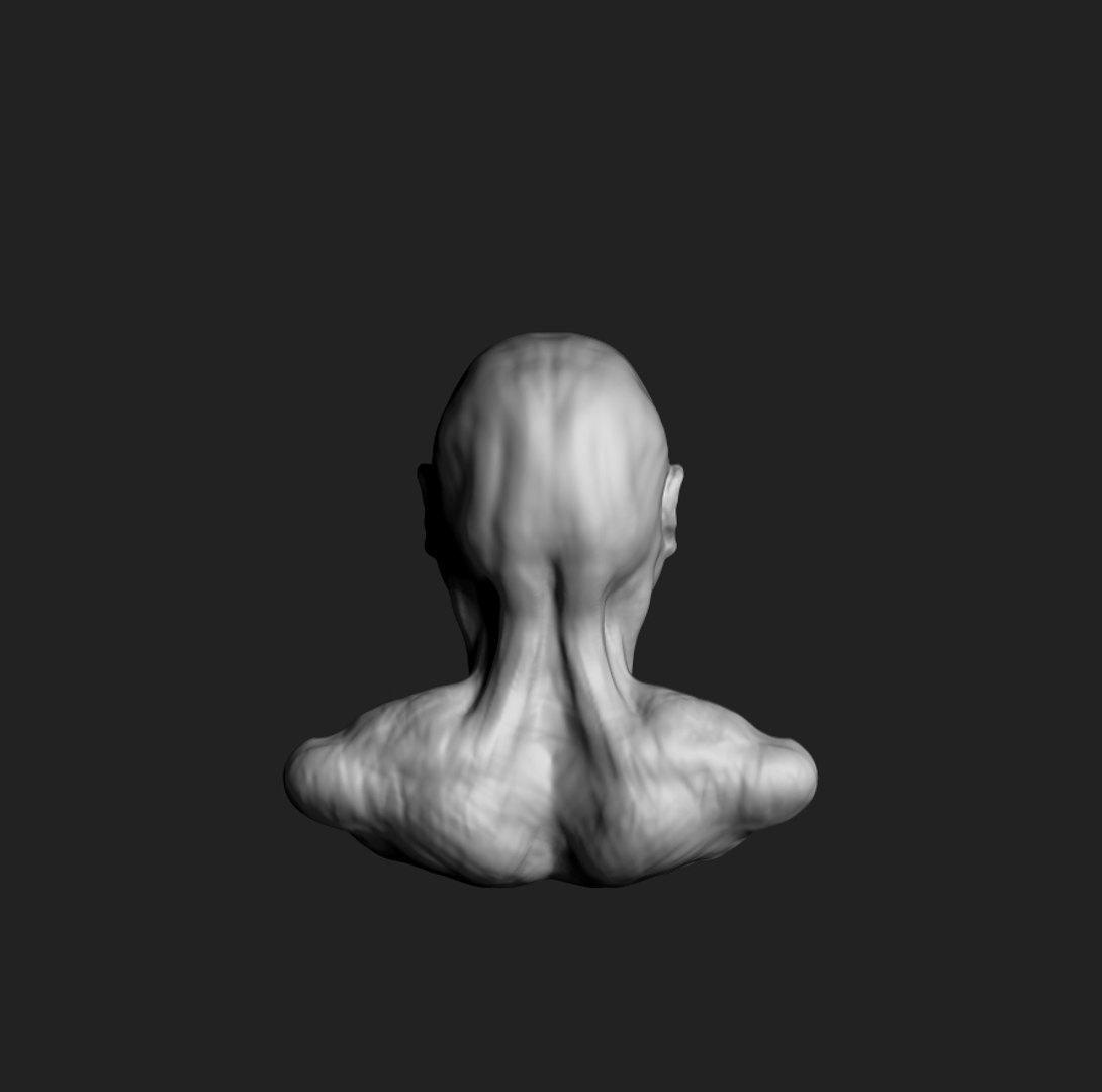 3d Zbrush File