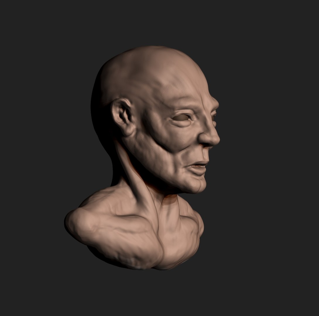 3d Zbrush File