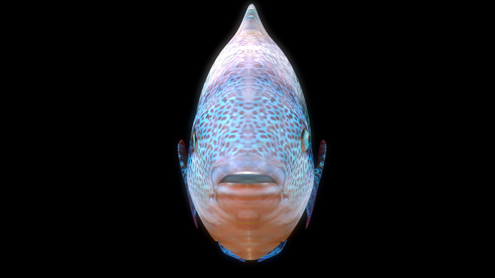 3D Model Cichild Fish - TurboSquid 1792364