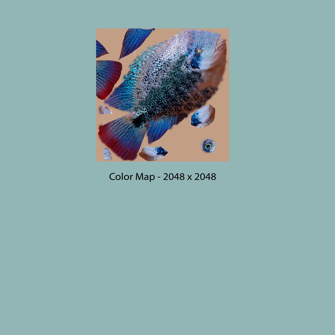 3D Model Cichild Fish - TurboSquid 1792364