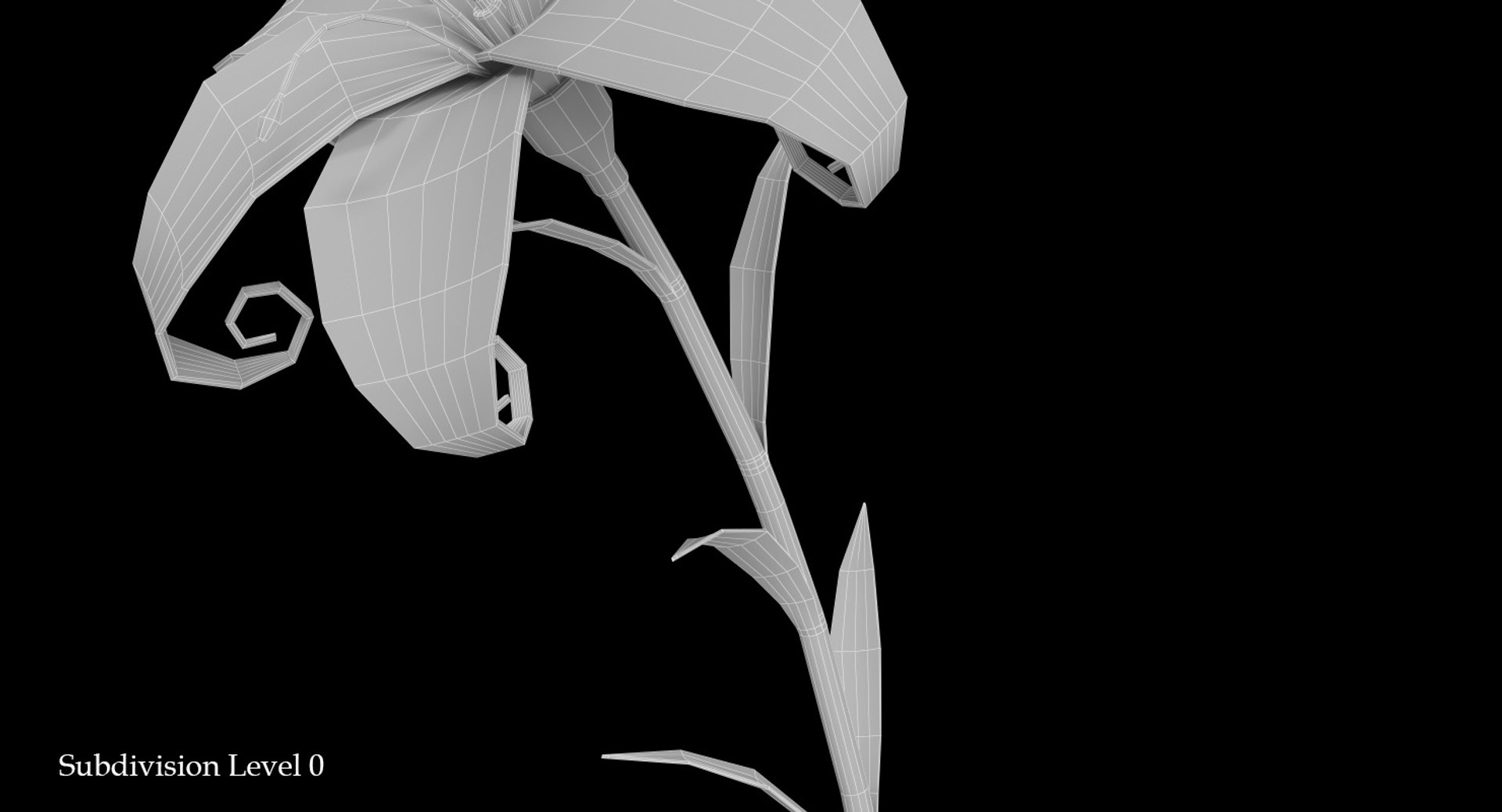 3d Model Cartoon Lily