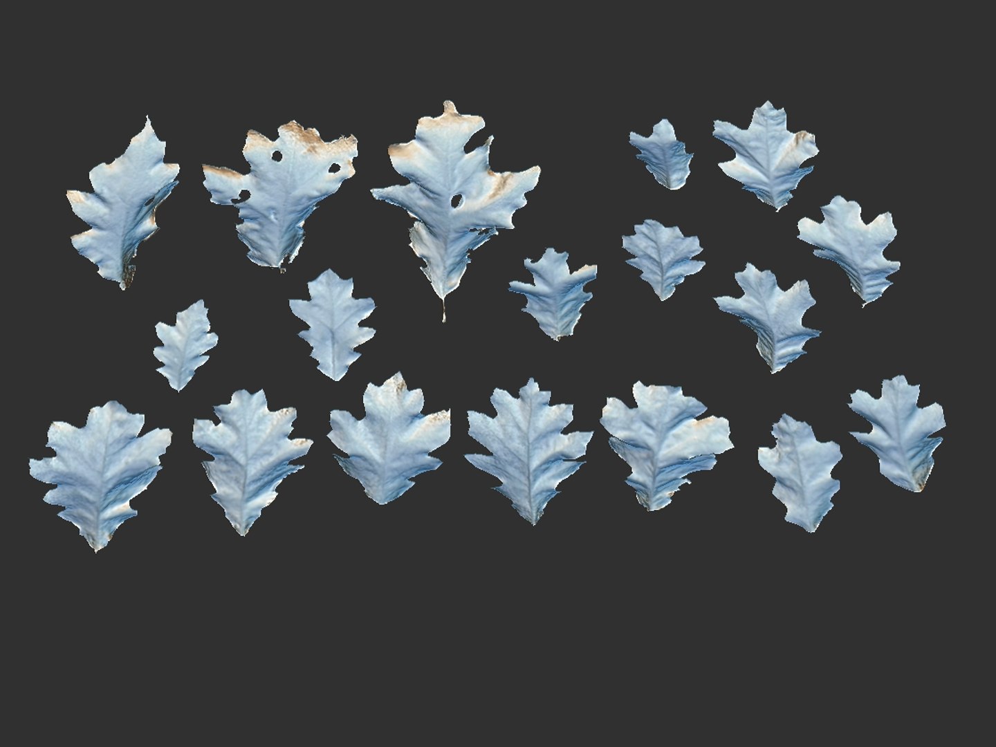 Autumn Leaves Scan Pack 3D Model - TurboSquid 1340280