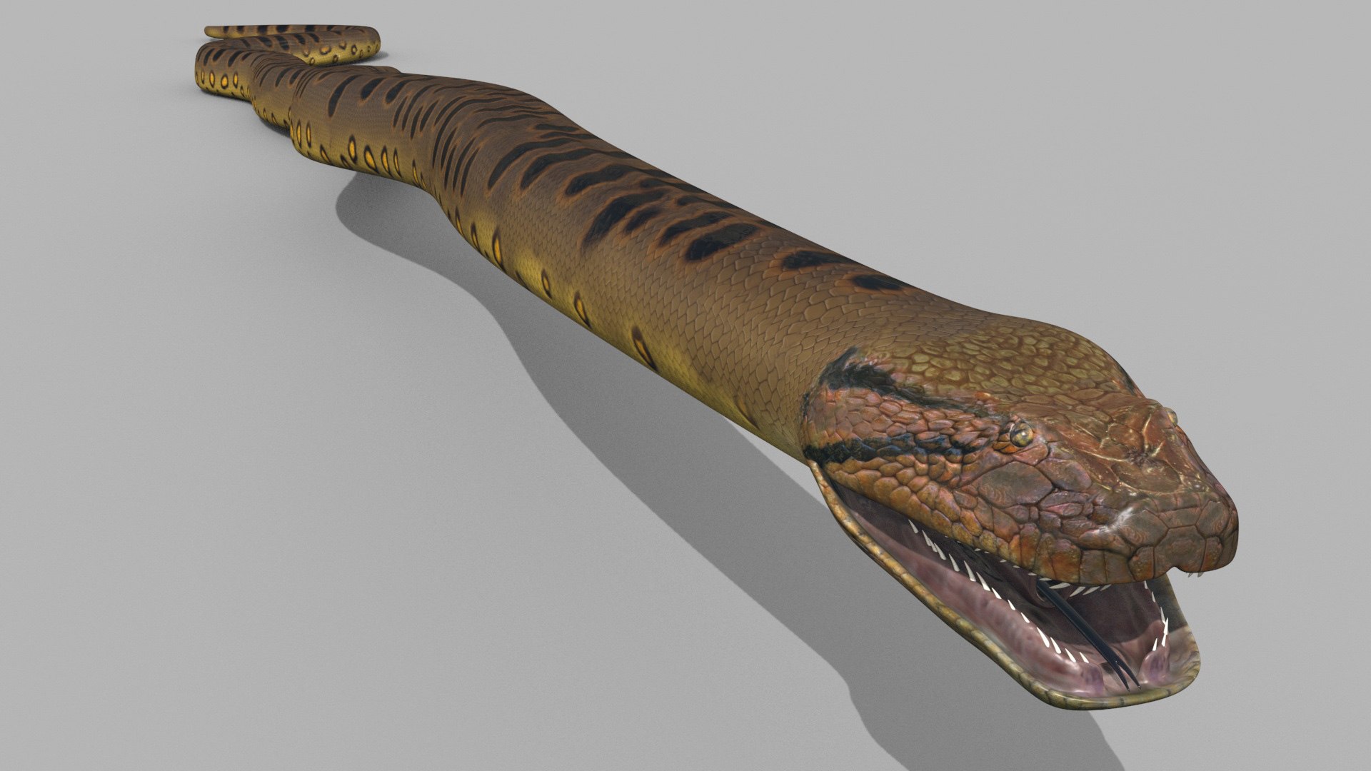 3D Model Monstre Anacond 8K - 3d Animated Model - TurboSquid 2066662