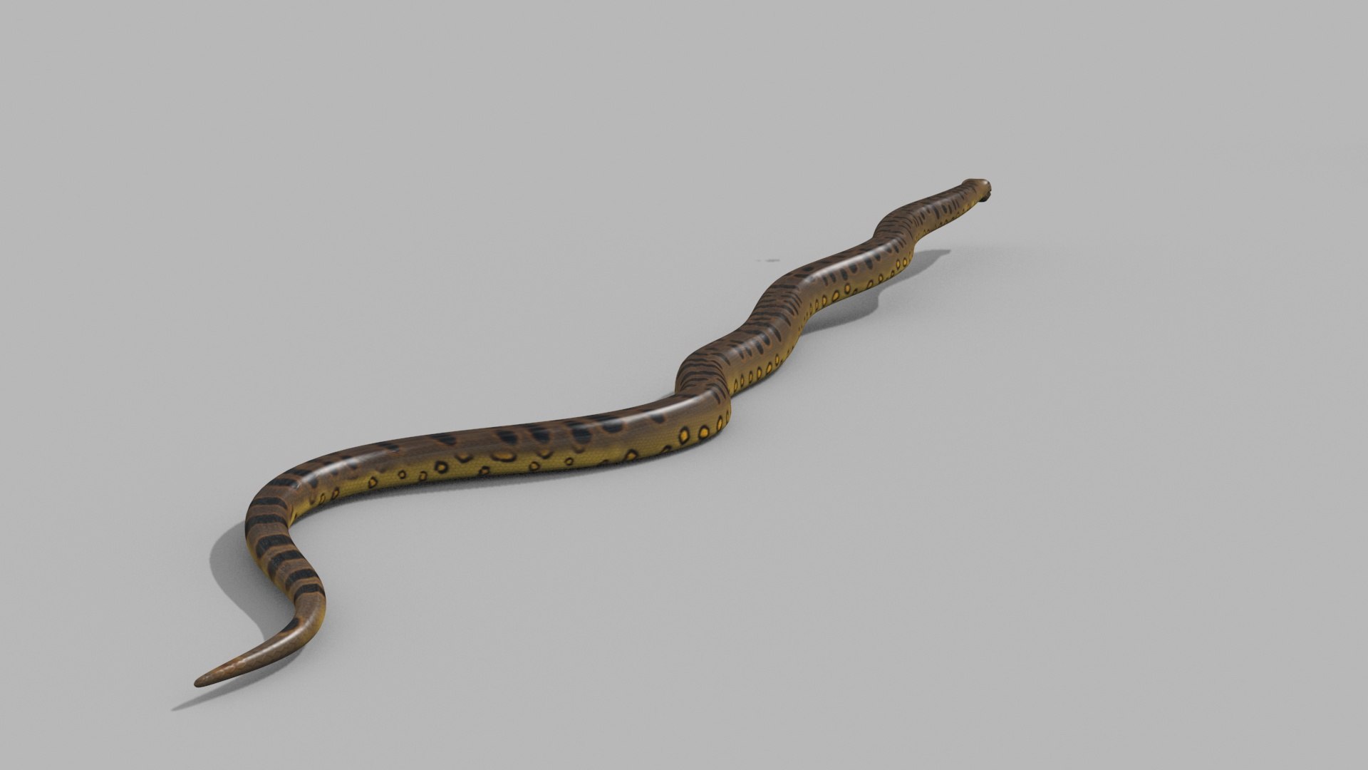 3D Model Monstre Anacond 8K - 3d Animated Model - TurboSquid 2066662