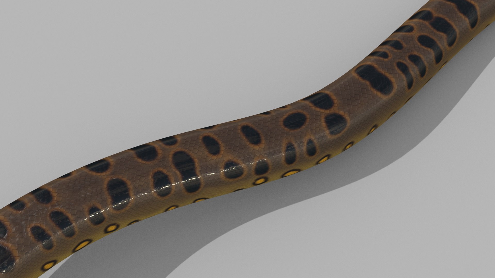 3D Model Monstre Anacond 8K - 3d Animated Model - TurboSquid 2066662
