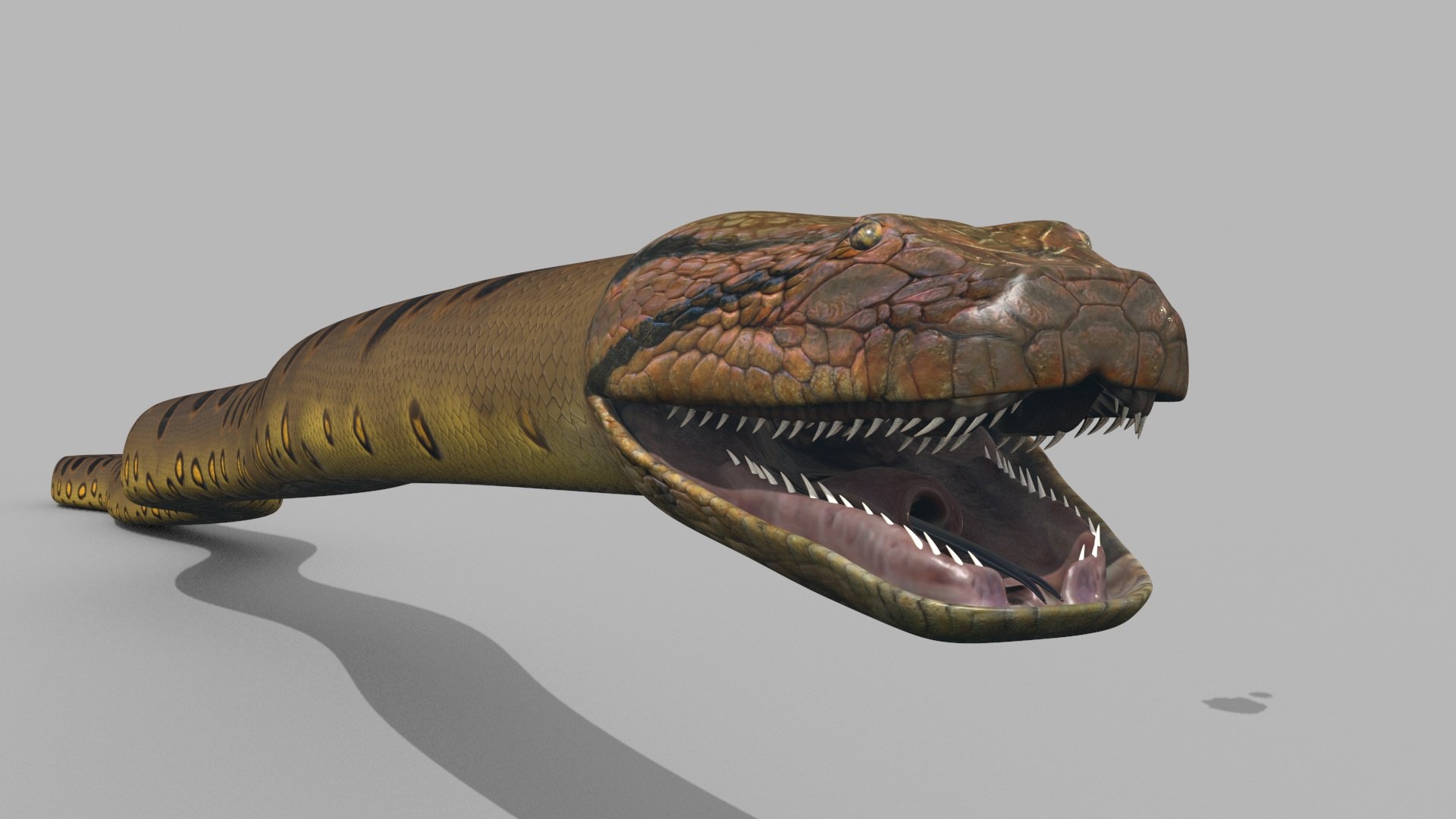 3D Model Monstre Anacond 8K - 3d Animated Model - TurboSquid 2066662