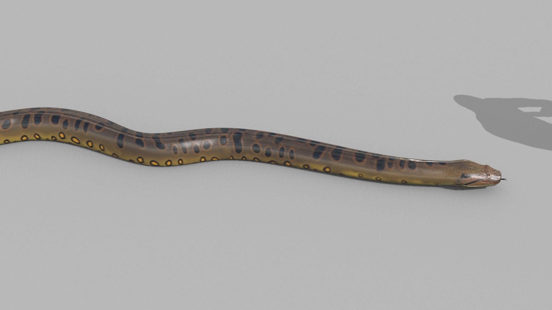 3D Model Monstre Anacond 8K - 3d Animated Model - TurboSquid 2066662