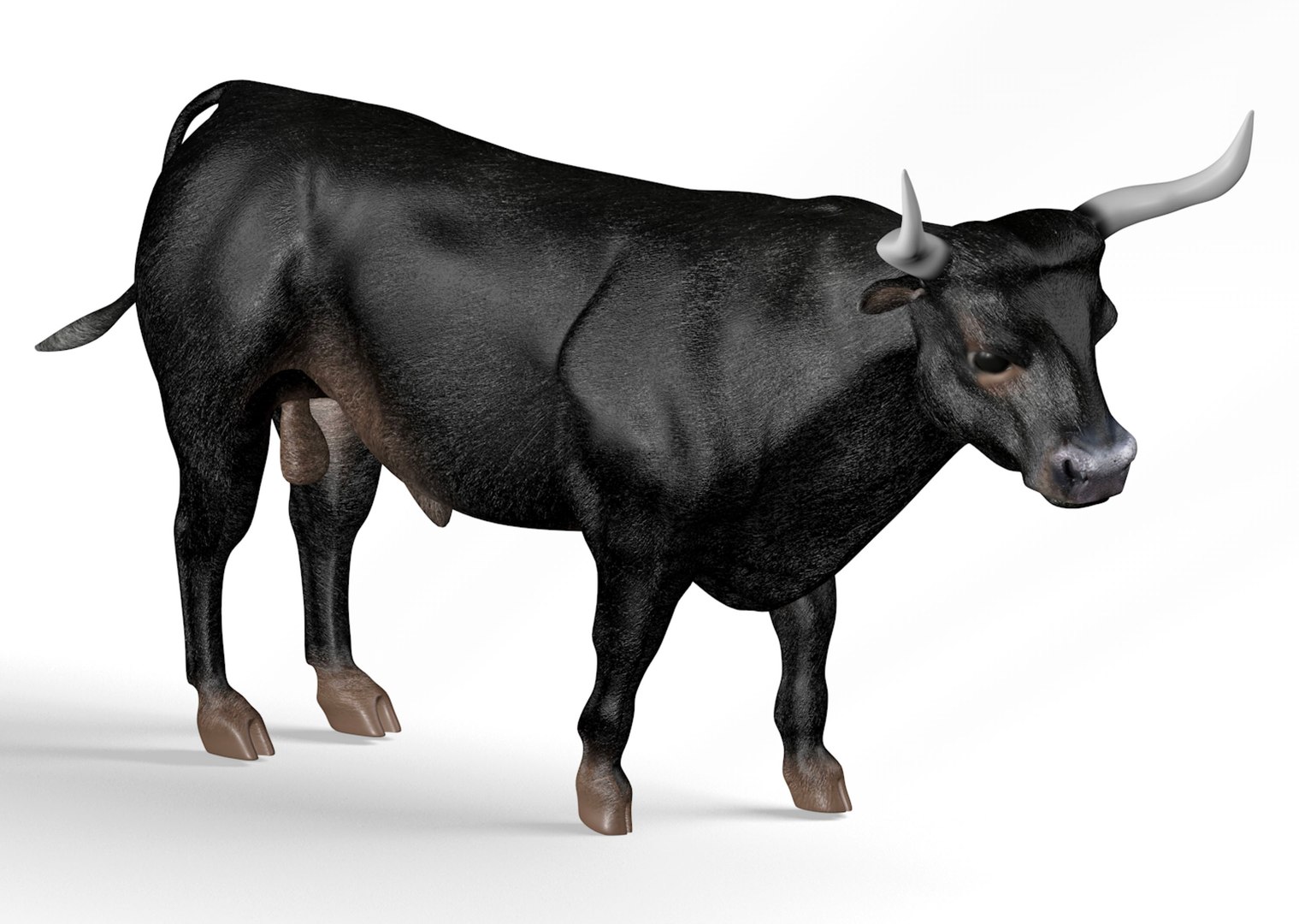 Rigged Bull Animation 3D Model - TurboSquid 1398389