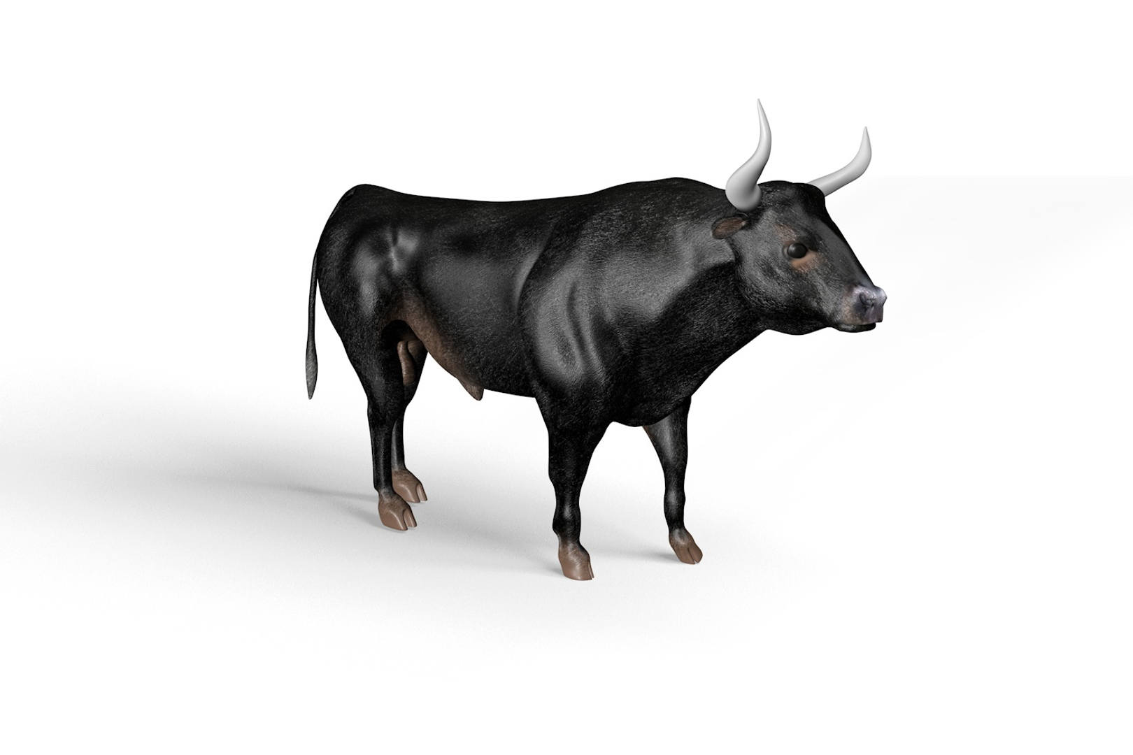 Rigged Bull Animation 3D Model - TurboSquid 1398389