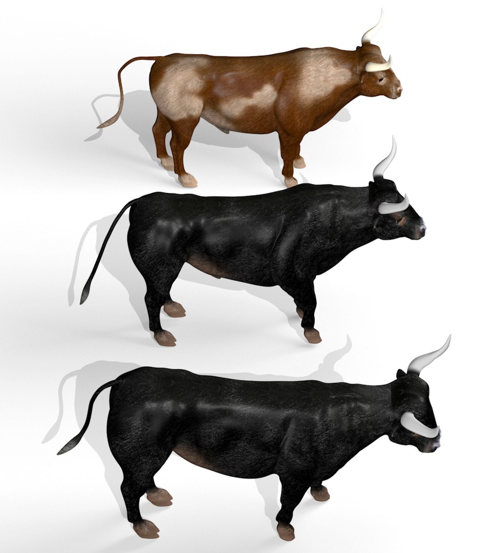 Rigged Bull Animation 3D Model - TurboSquid 1398389