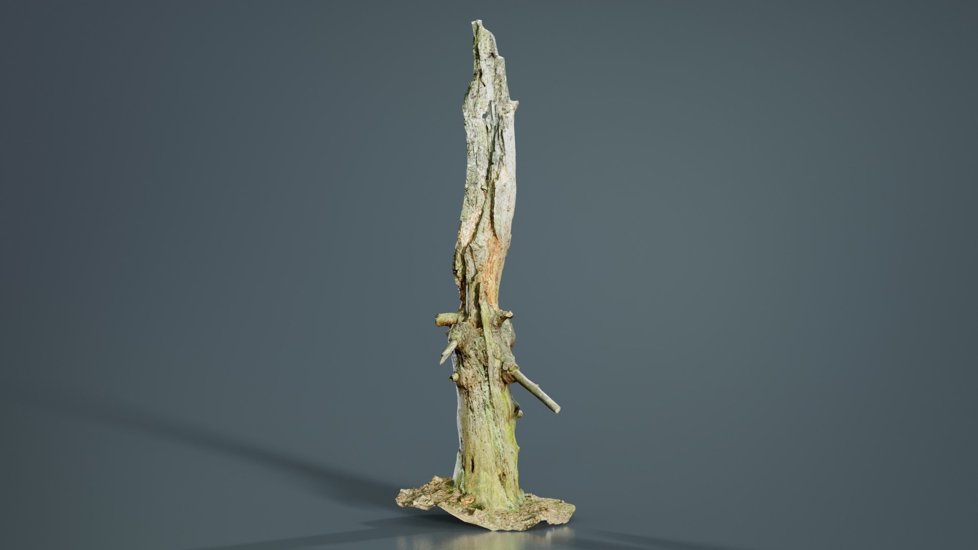 Arrow Stump Bark Tree Remastered 3D Model - TurboSquid 2363154