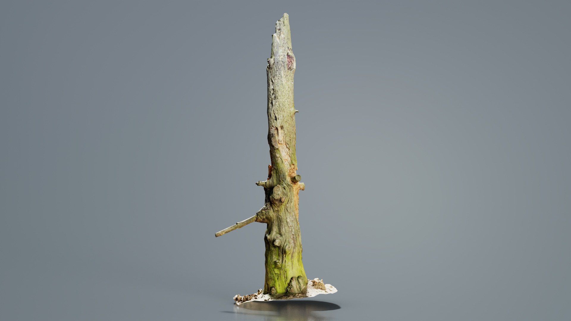 Arrow Stump Bark Tree Remastered 3D Model - TurboSquid 2363154