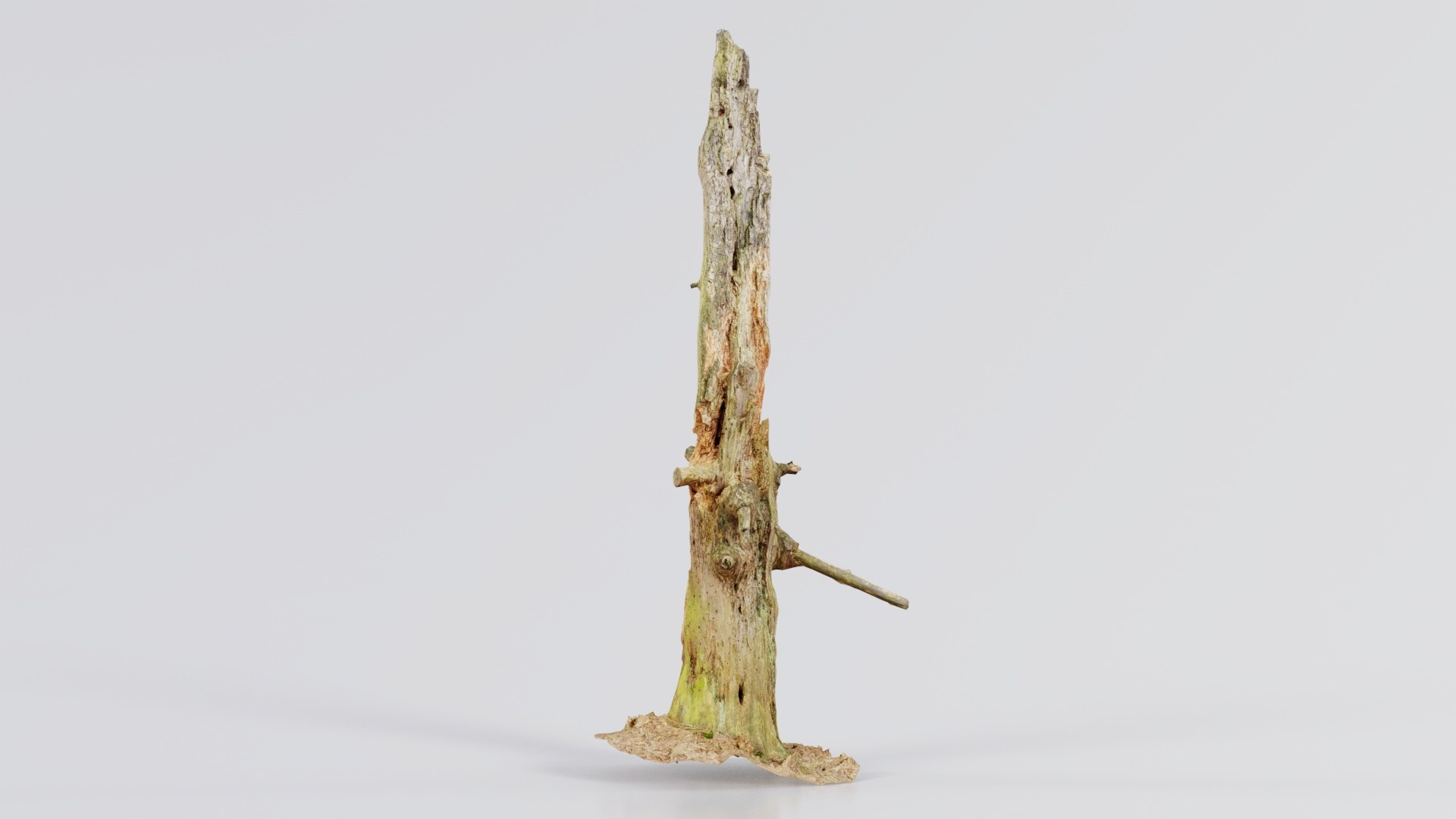 Arrow Stump Bark Tree Remastered 3D Model - TurboSquid 2363154
