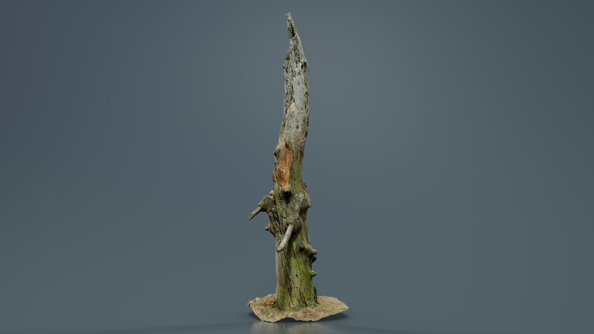 Arrow Stump Bark Tree Remastered 3D Model - TurboSquid 2363154