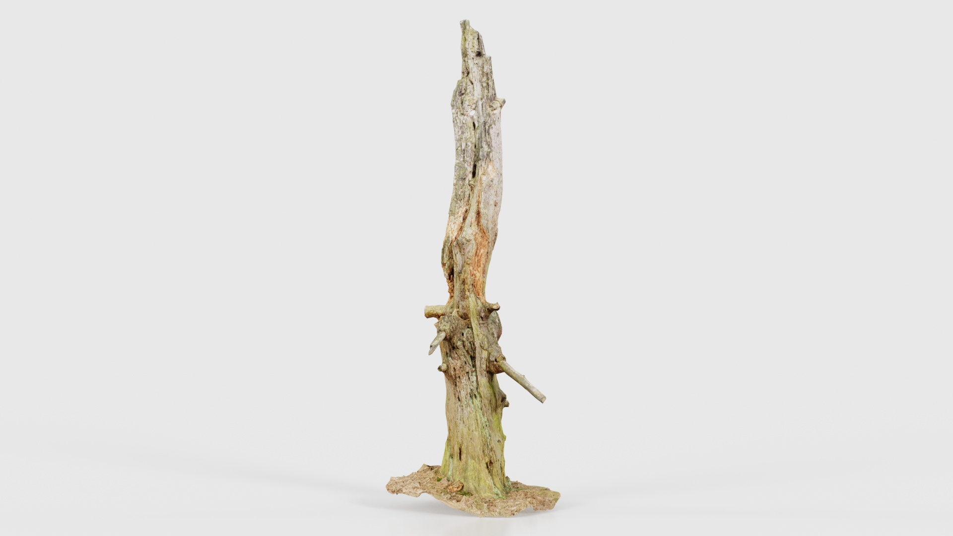 Arrow Stump Bark Tree Remastered 3D Model - TurboSquid 2363154