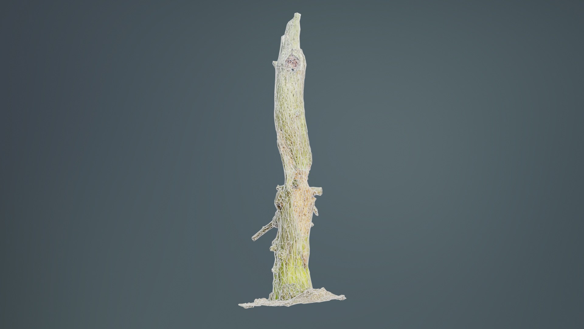 Arrow Stump Bark Tree Remastered 3D Model - TurboSquid 2363154
