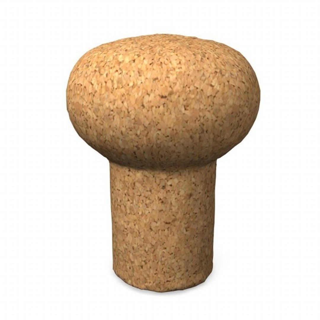 3d cork model