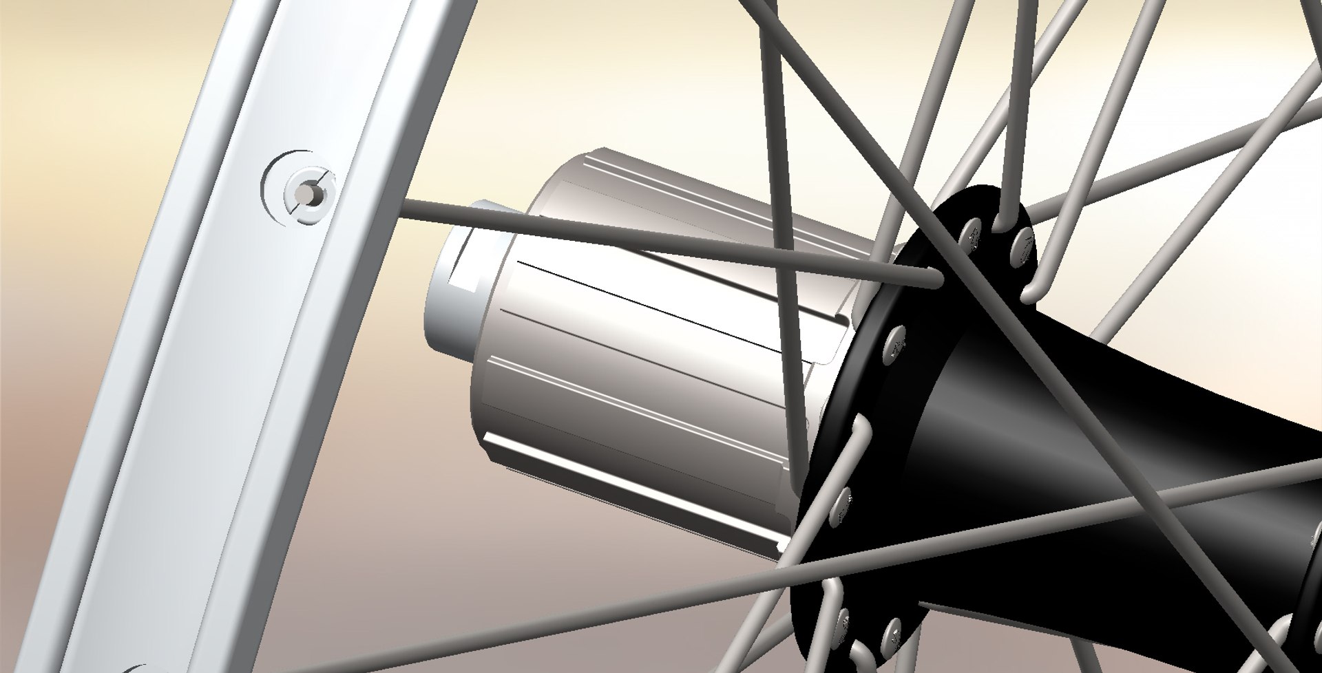 wheel rear mountain bike 3d model