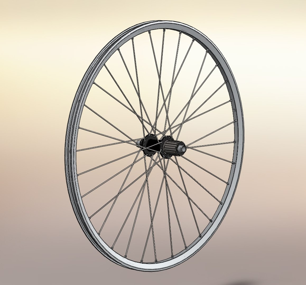 wheel rear mountain bike 3d model