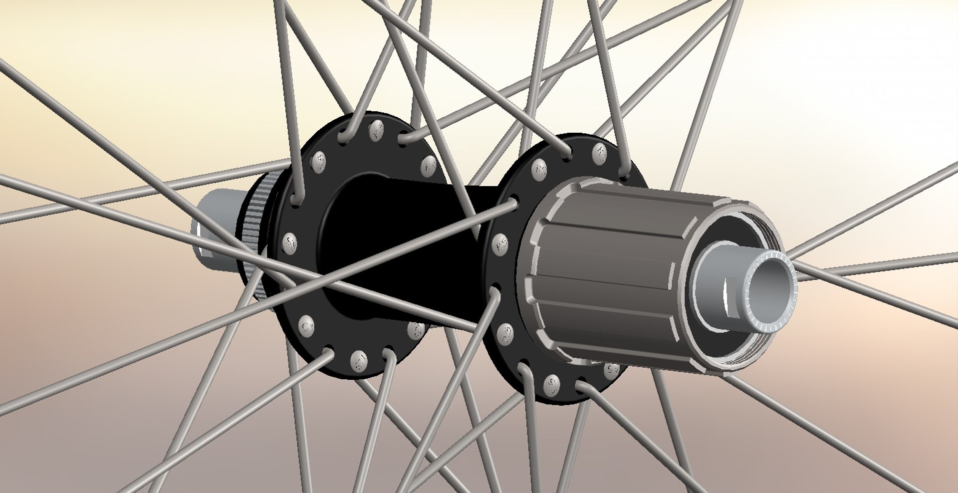 wheel rear mountain bike 3d model