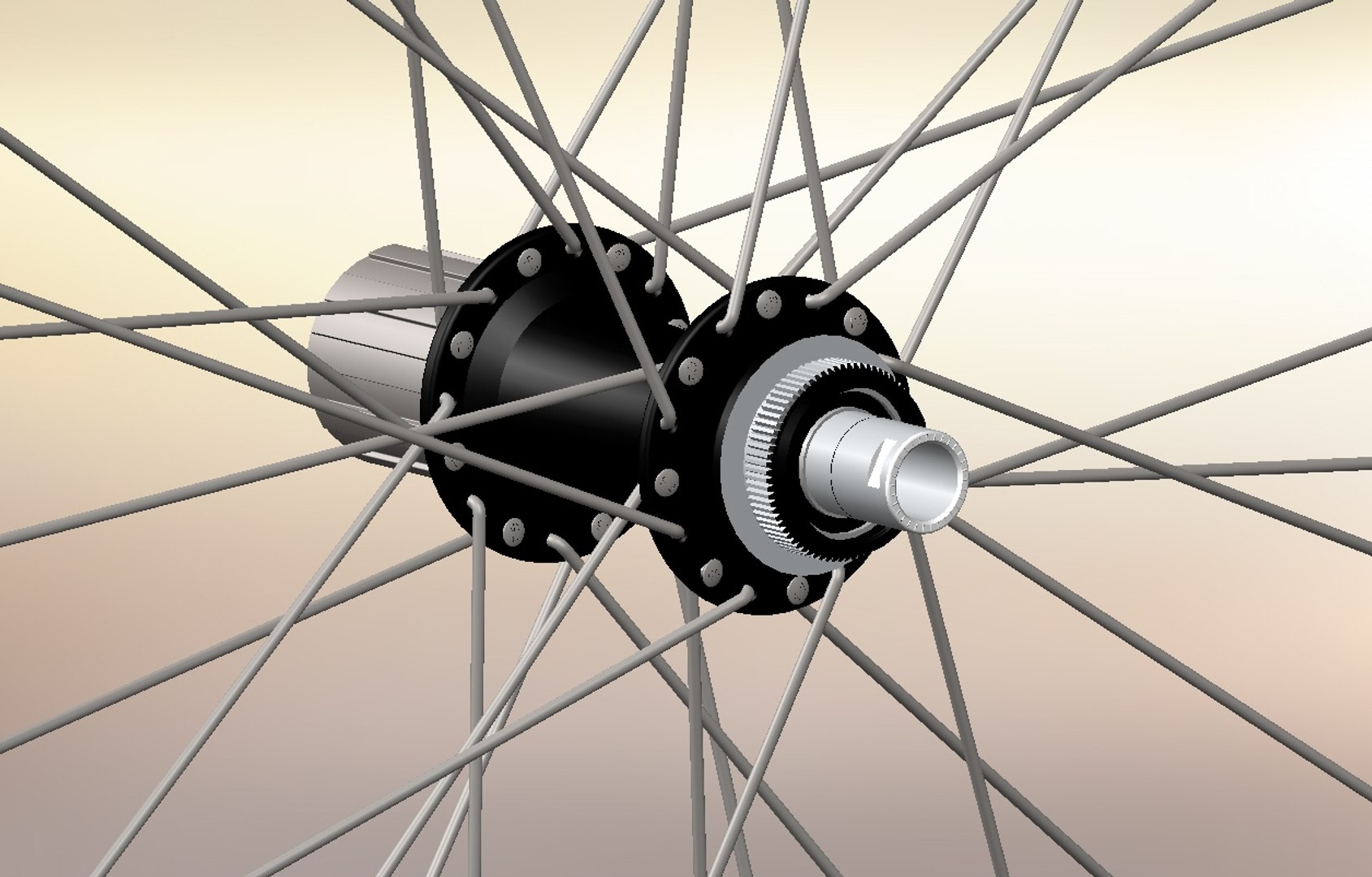 wheel rear mountain bike 3d model