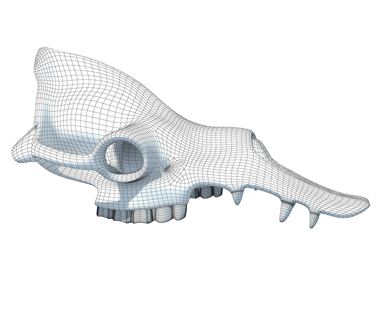 3D Camel Skull Skeleton Model - TurboSquid 1177952