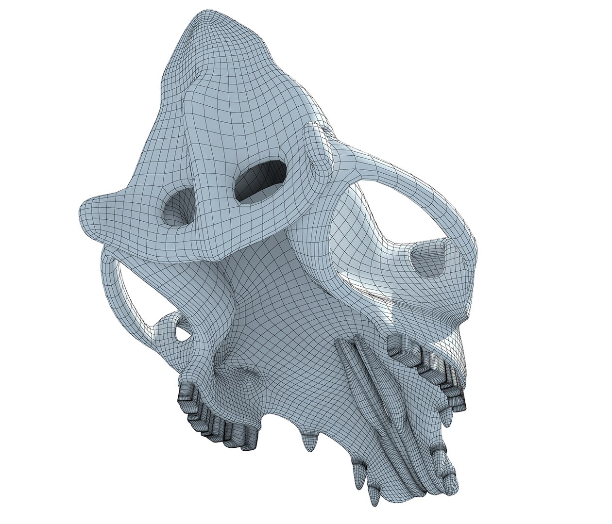 3D Camel Skull Skeleton Model - TurboSquid 1177952