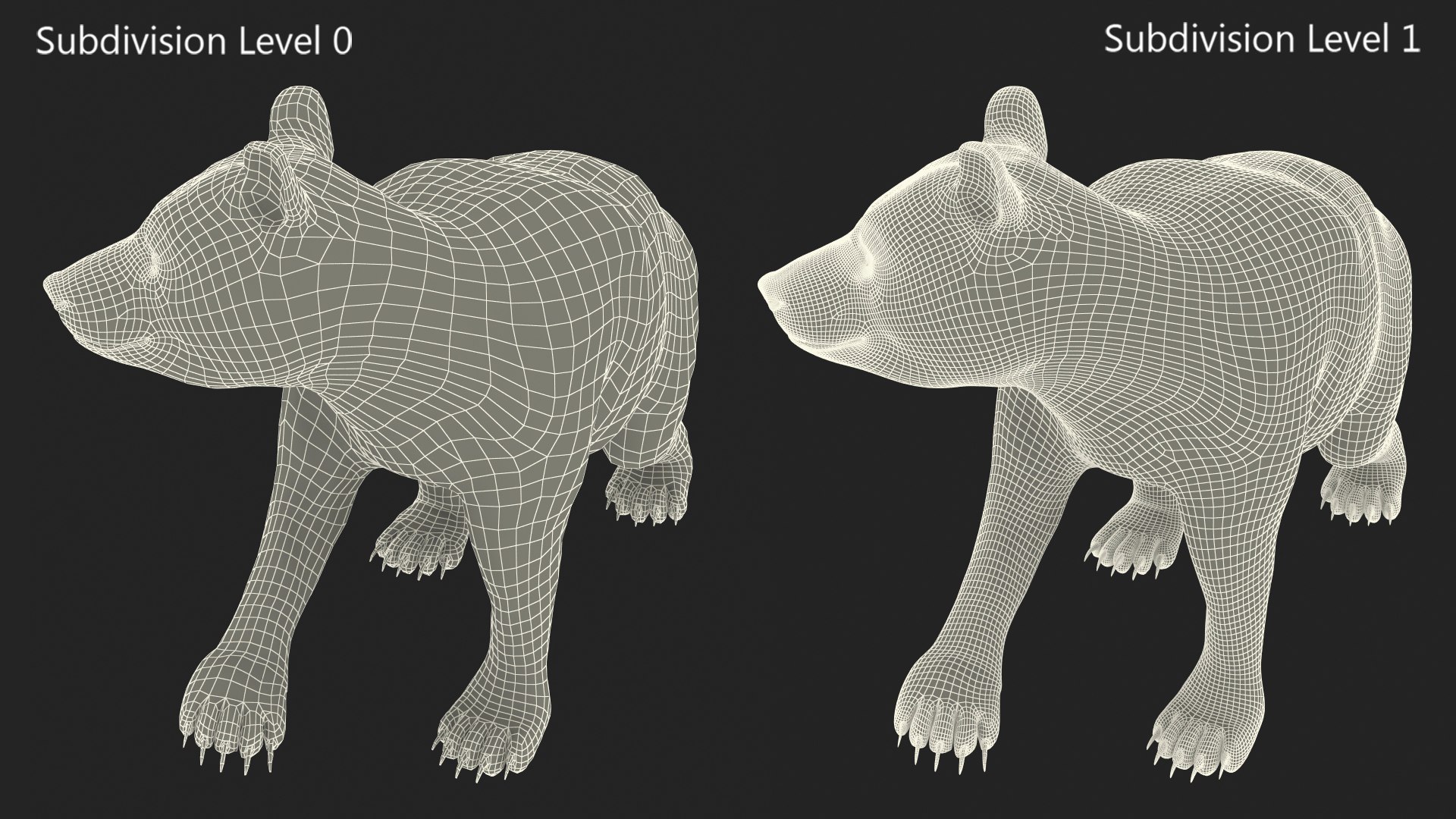Young Black Bear In Walking 3D Model - TurboSquid 2256341