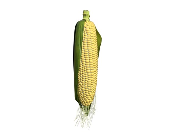 3D Cornfield Models | TurboSquid