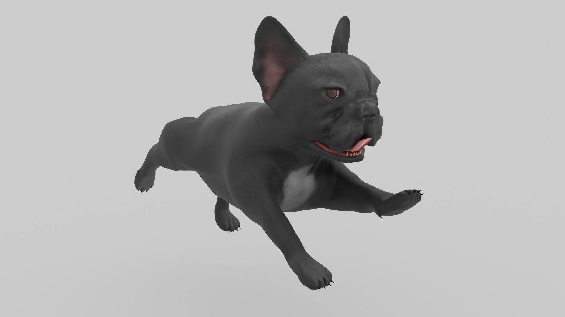 Rigged French Bulldog 3D Model - TurboSquid 1857720