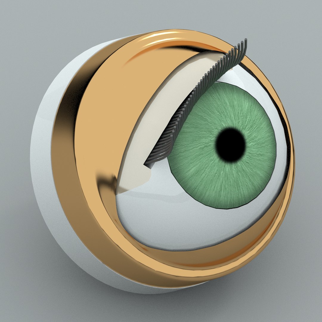 Doll Eye Mechanism 3D - TurboSquid 1285674