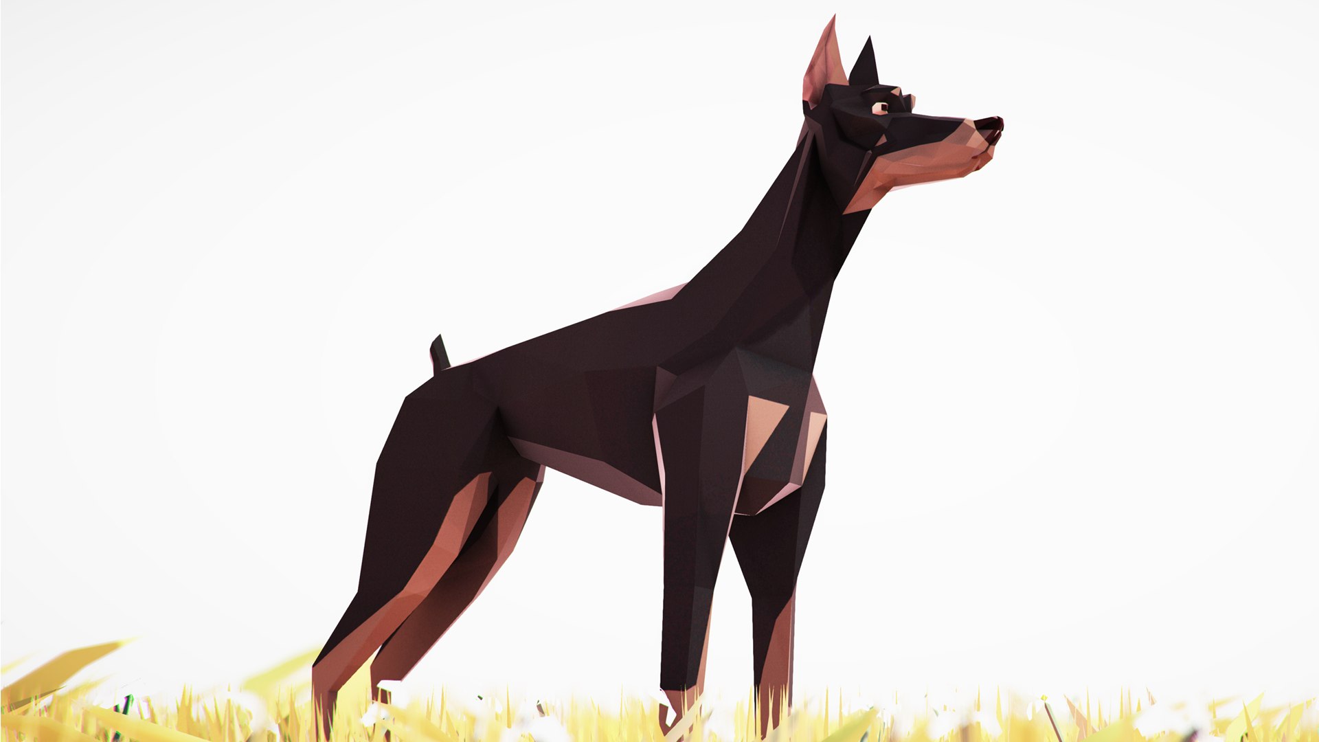 Dog Animations Model - TurboSquid 1510406