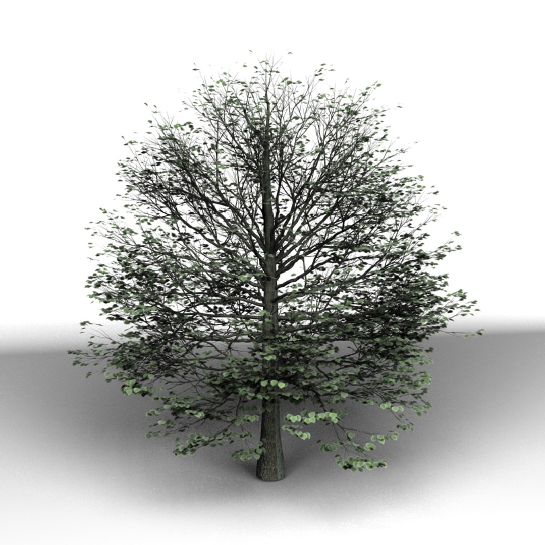 tree 3d max