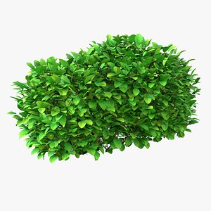 Cartoon Bush 02 Model - TurboSquid 1941413