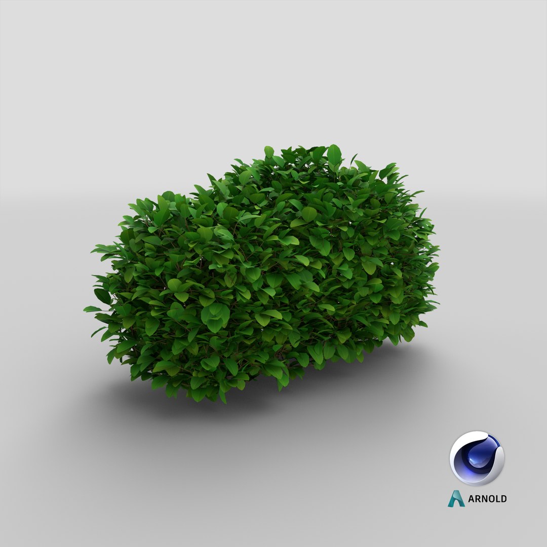 3D Cartoon Bush 14 - TurboSquid 1941436