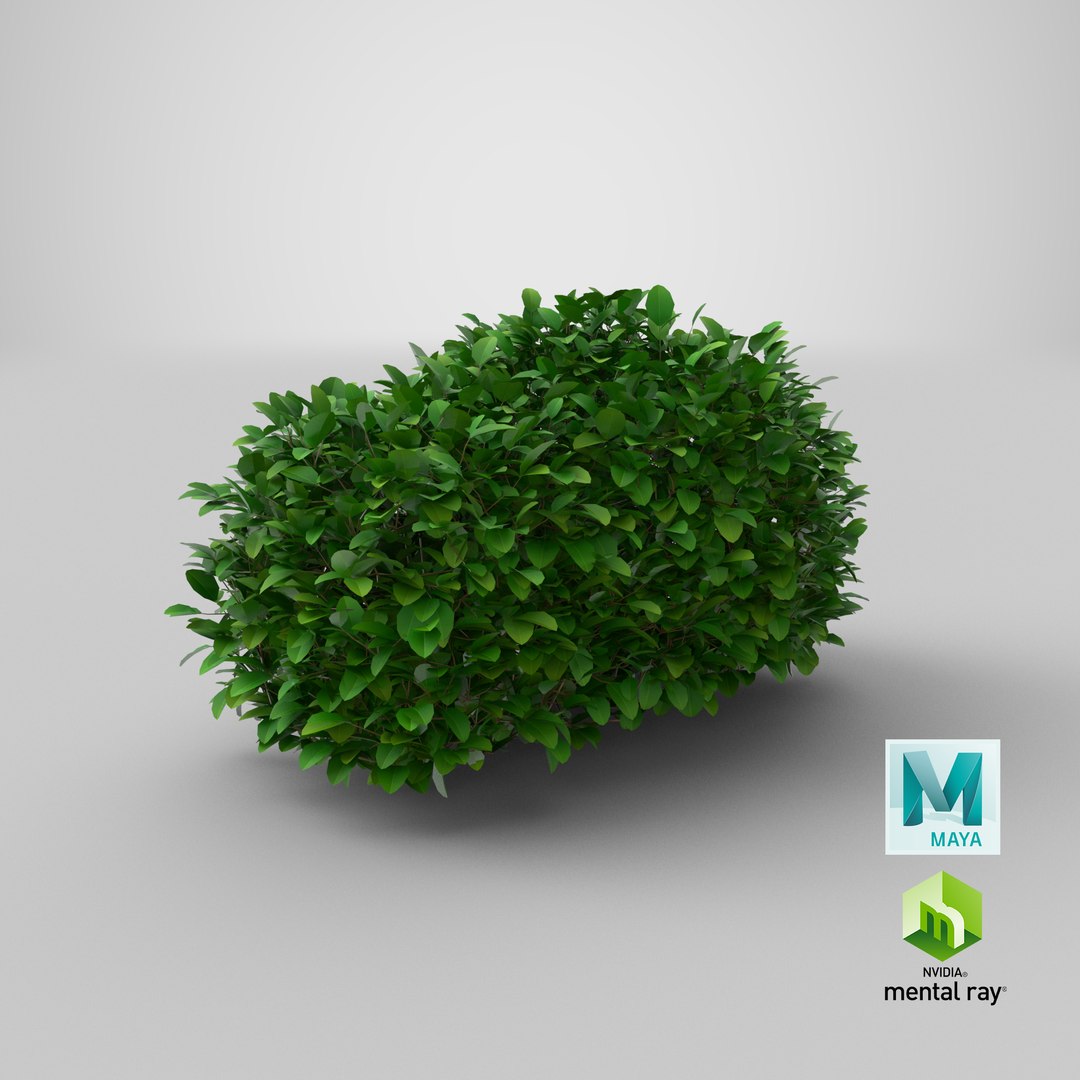 3D Cartoon Bush 14 - TurboSquid 1941436
