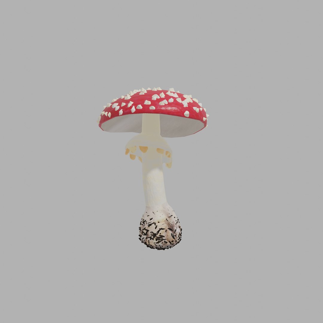 Mushroom 3D Model - TurboSquid 1996948