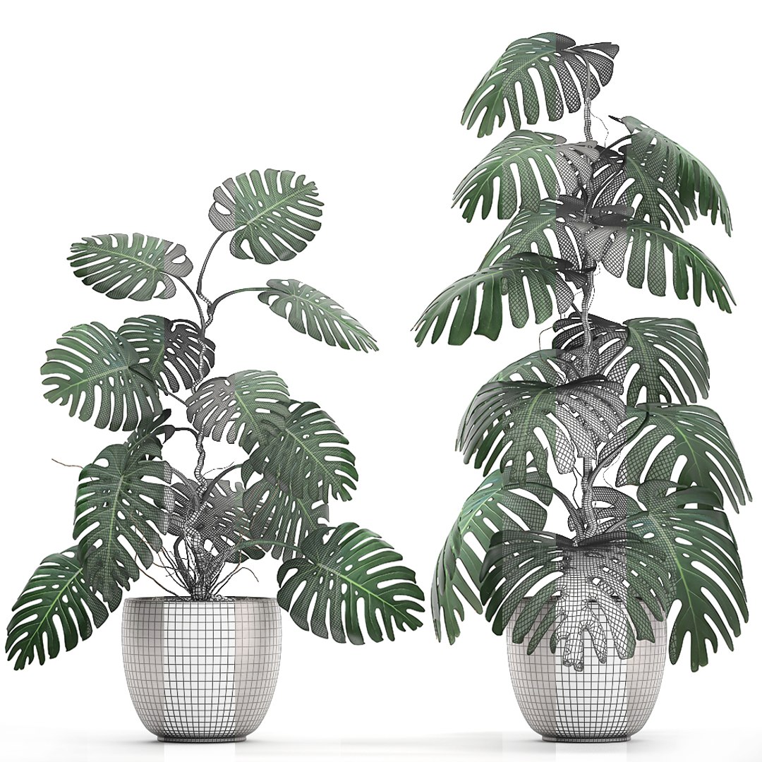 Monstera Interior Model - TurboSquid 1618133