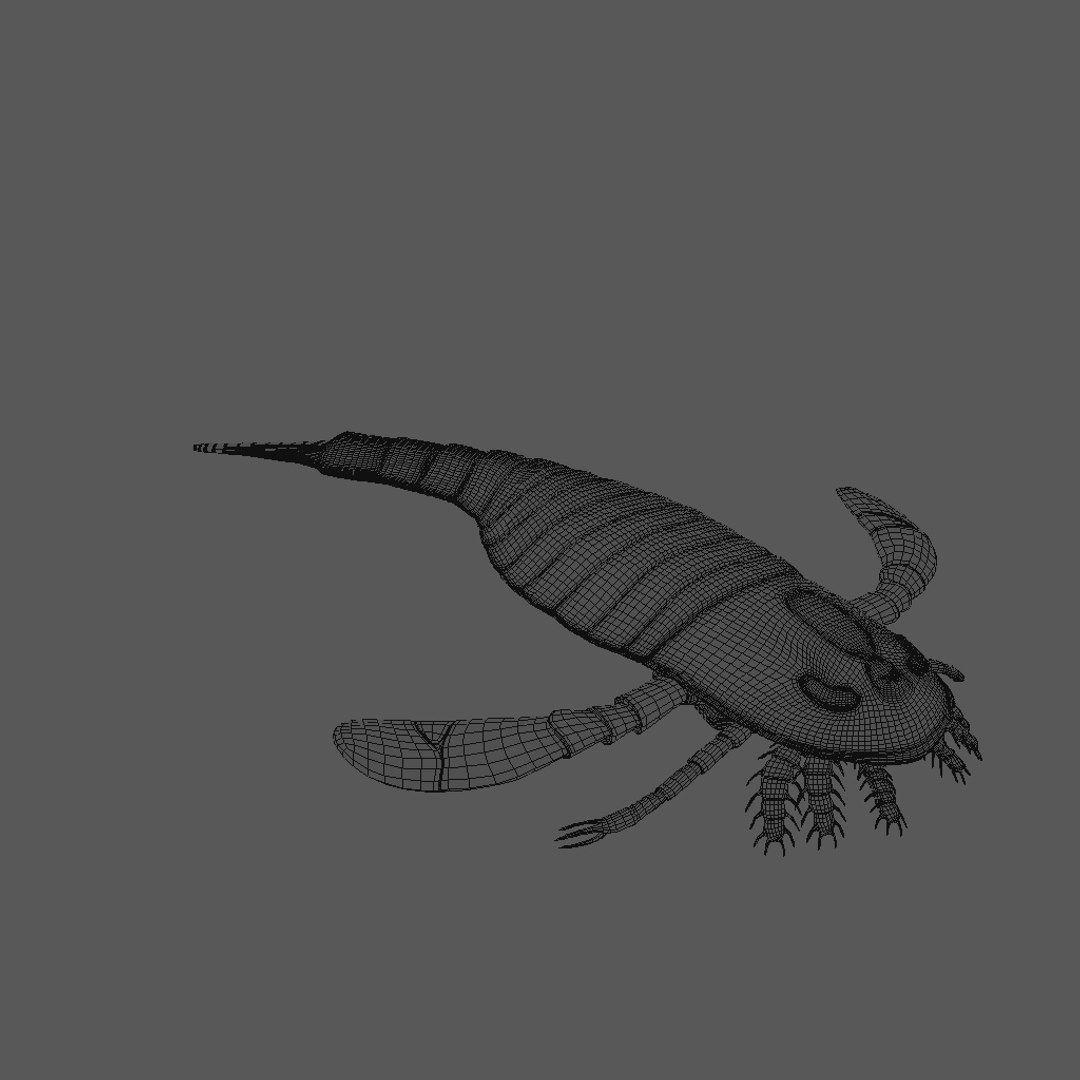 Eurypterid 3d Model