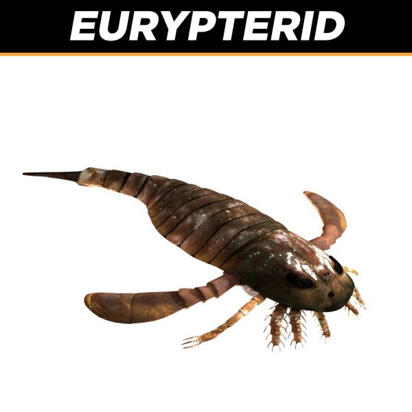Eurypterid 3D 모델 - TurboSquid 1066085