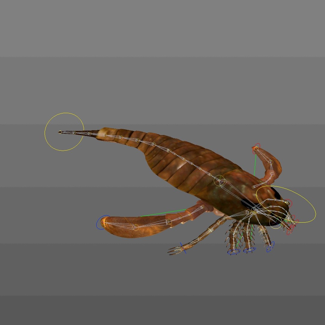 Eurypterid 3d Model
