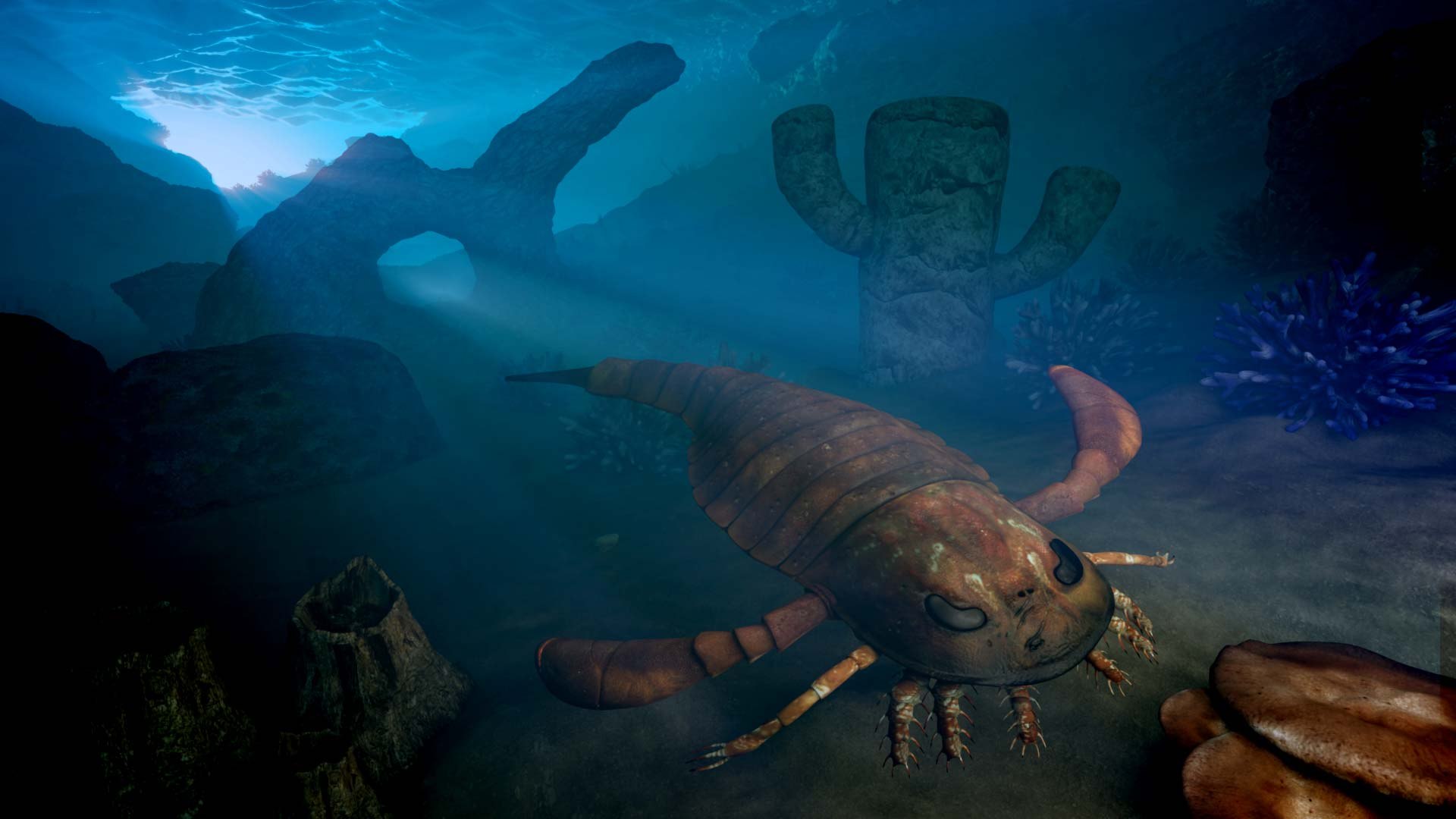 Eurypterid 3d Model