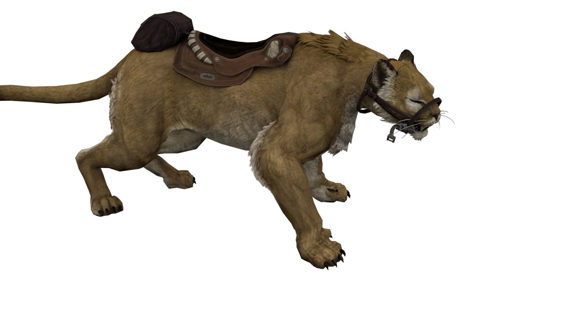 Puma Animated 3D - TurboSquid 2186712