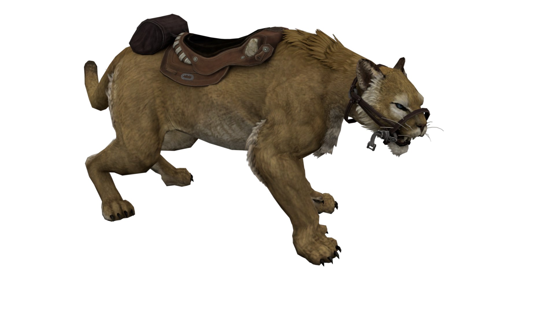 Puma Animated 3D - TurboSquid 2186712