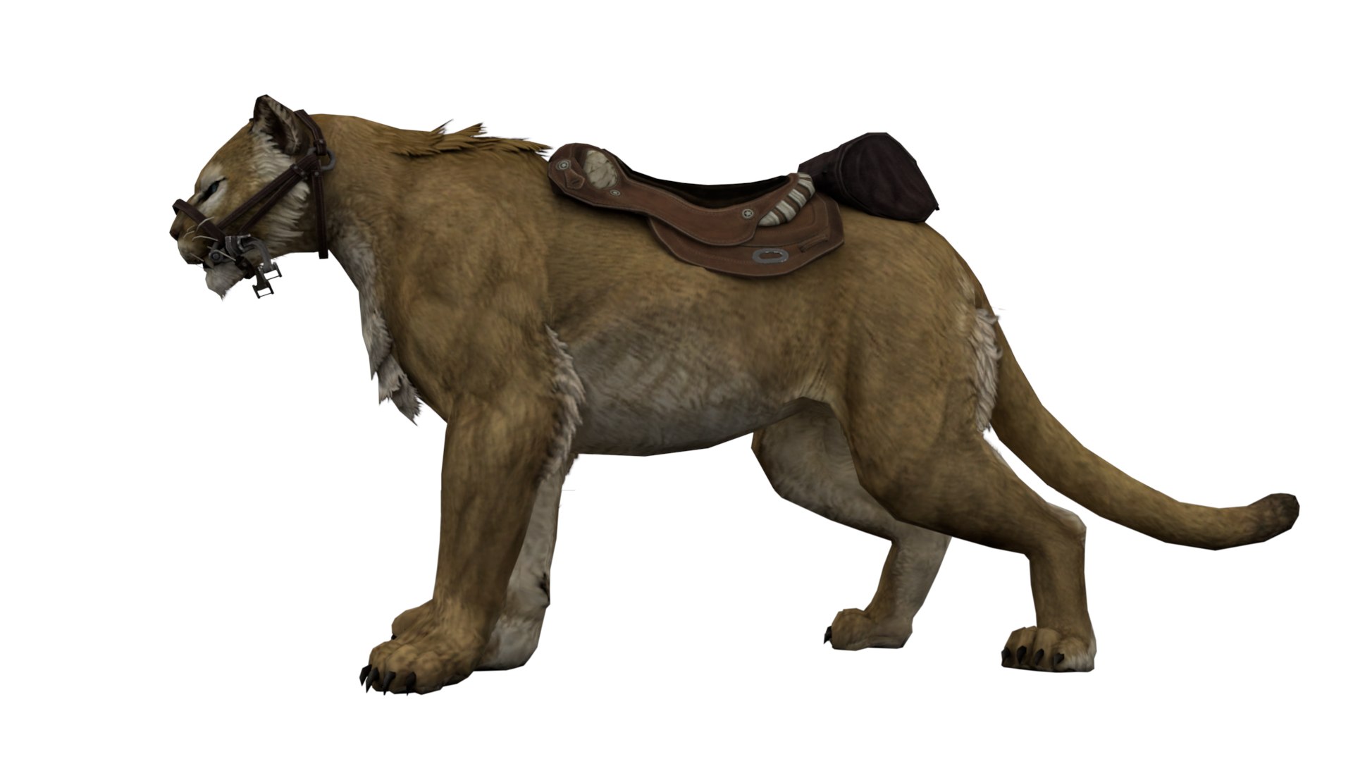 Puma Animated 3D - TurboSquid 2186712