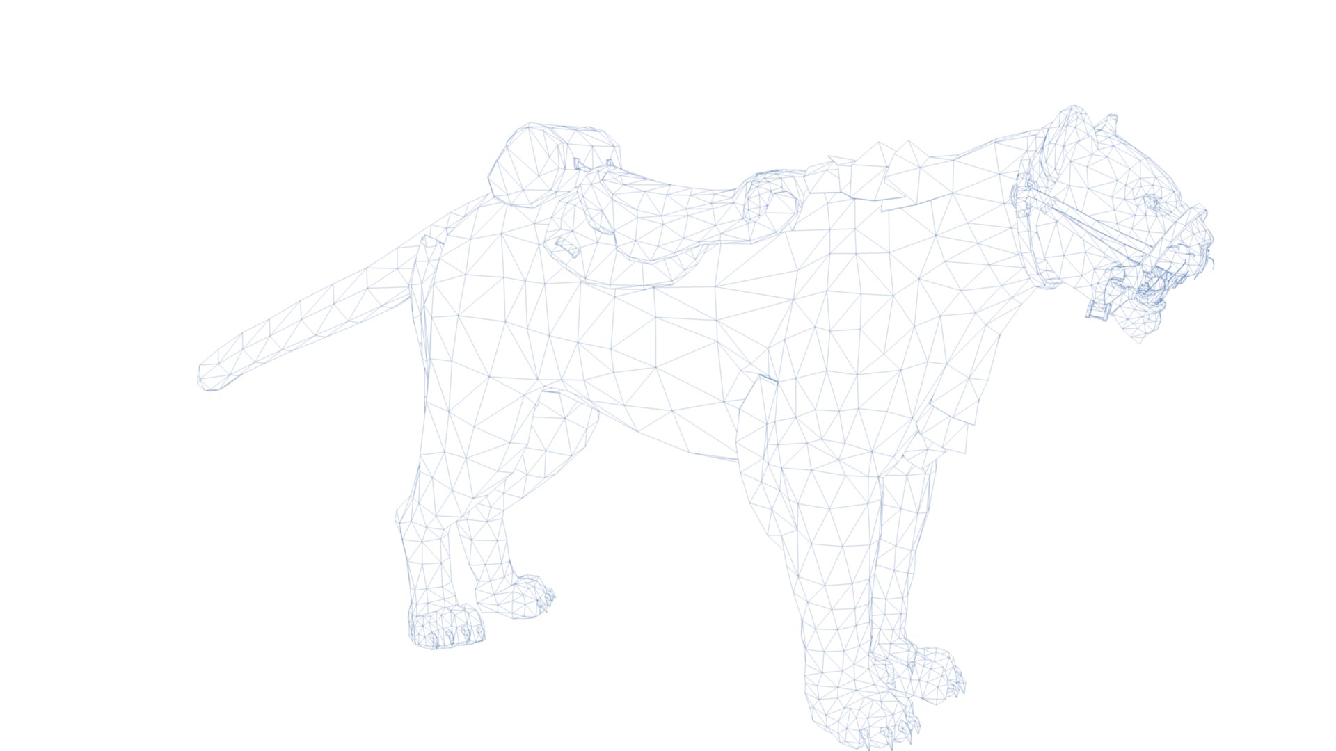 Puma Animated 3D - TurboSquid 2186712